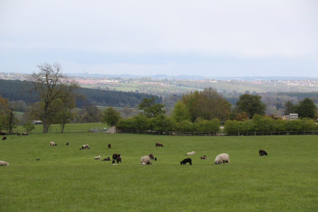 Why Cannon Hall Farm? - Cannon Hall Farm Shop